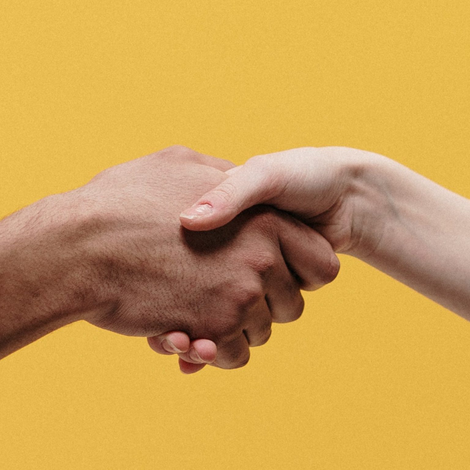 Book 5-Star House Cleaning in DFW | Rover House Cleaners